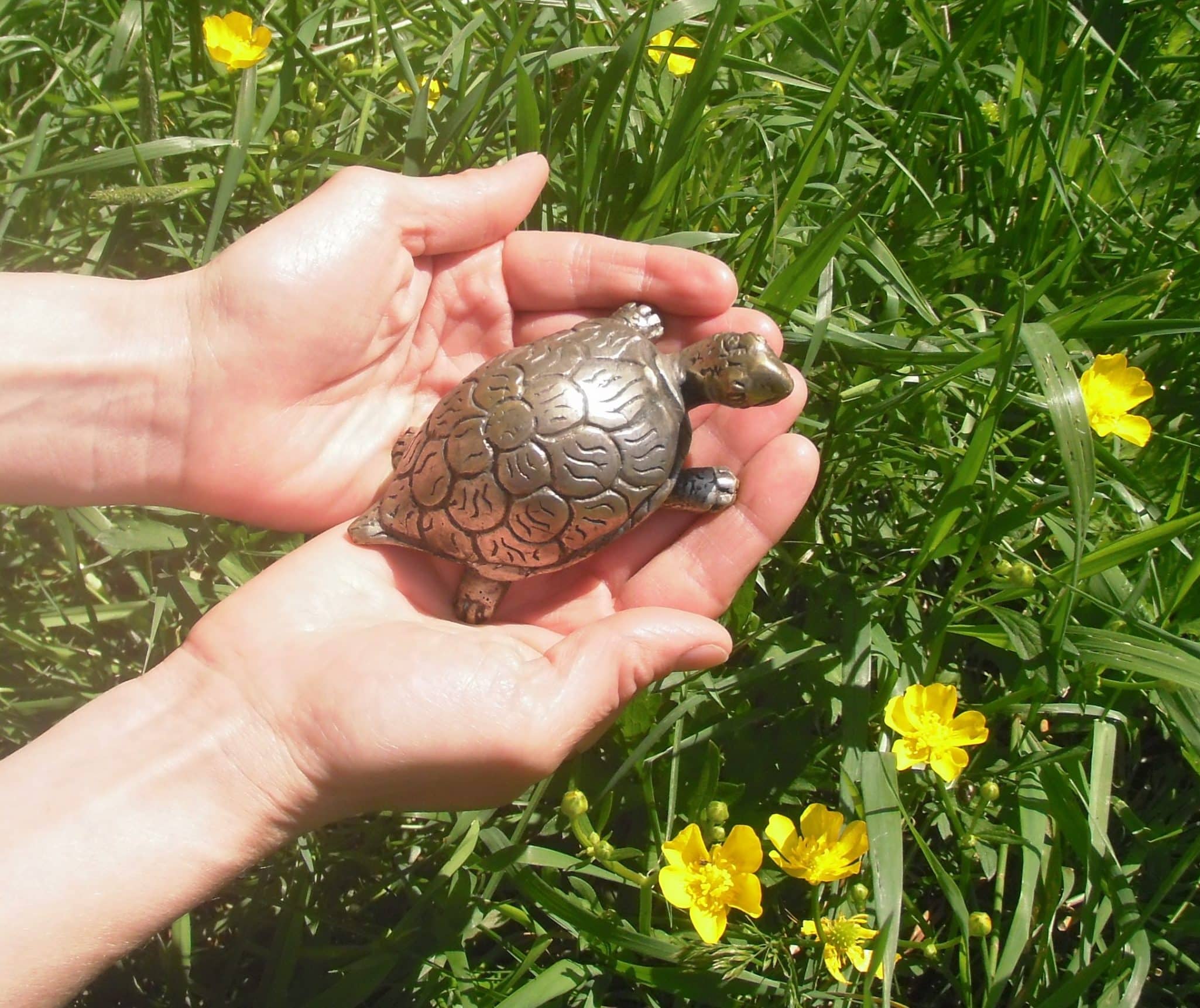 Turtlespeeds historie | Turtlespeed